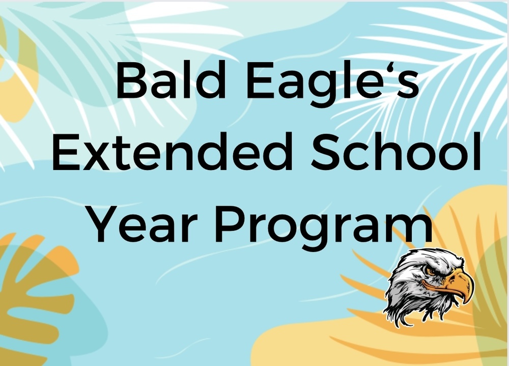 Extended School Year Program Information | BALD EAGLE AREA CYBER ACADEMY